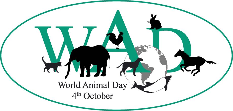 World Animal Day: solidarity and intervention to help the less ...