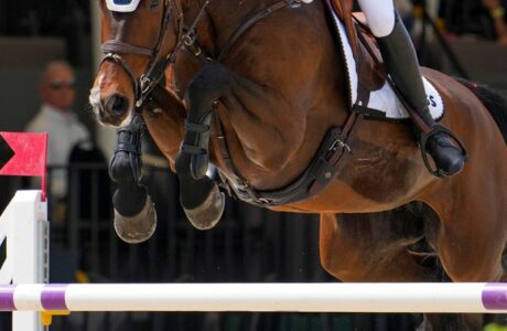 WEF 9: Harry Charles riding Aralyn Blue won the $62,500 Bainbridge ...