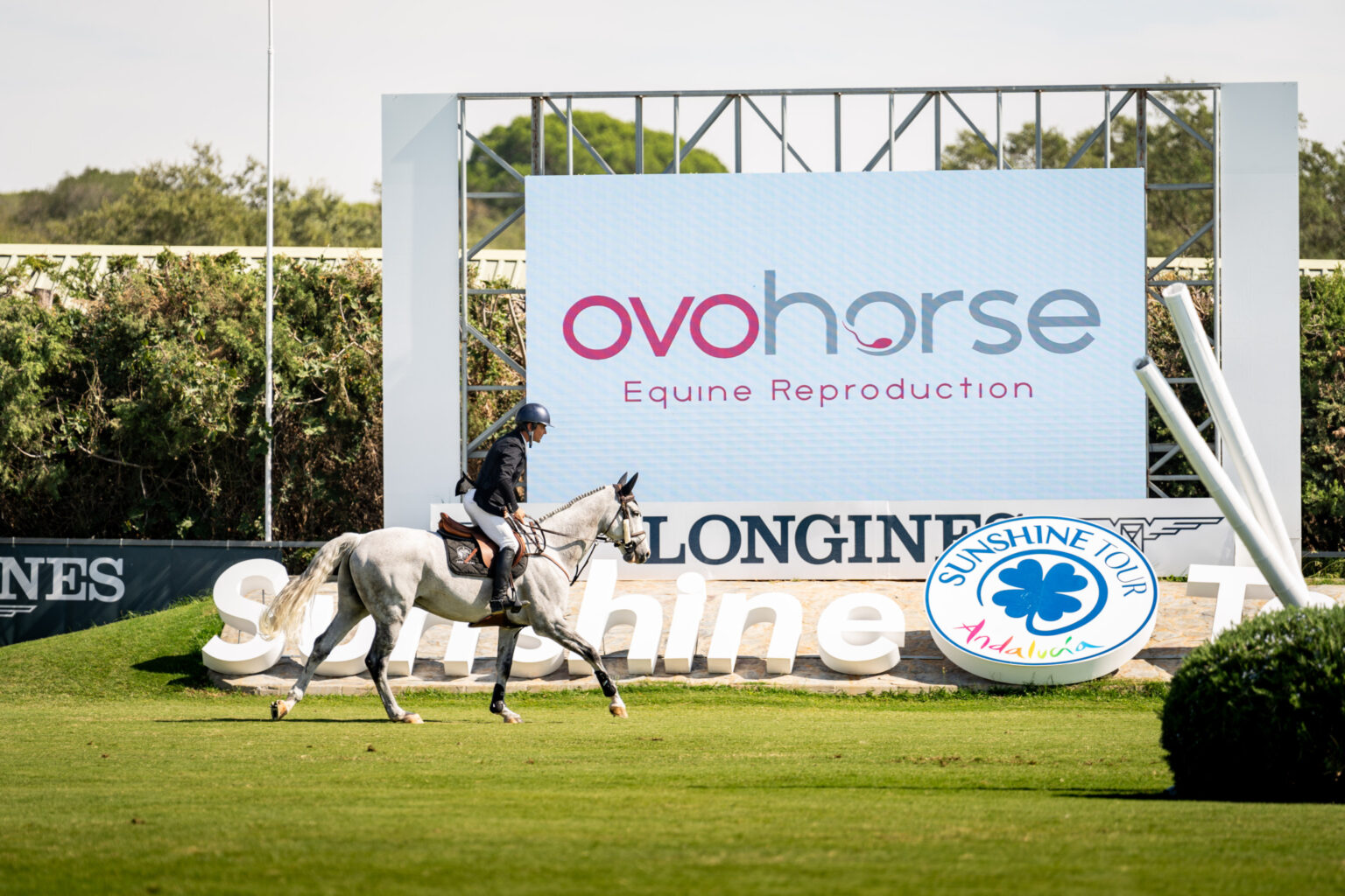Ovohorse and Ovoclone: pioneering equine reproduction | HorseShowJumping