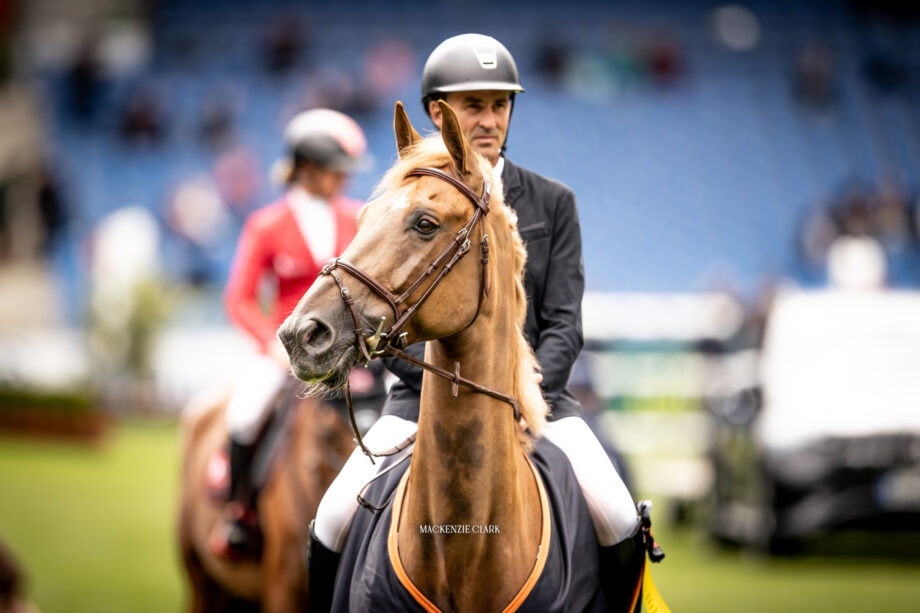 CHIO Aachen: vittoria di Francois Xavier Boudant nella STAWAG 1.45 m ...