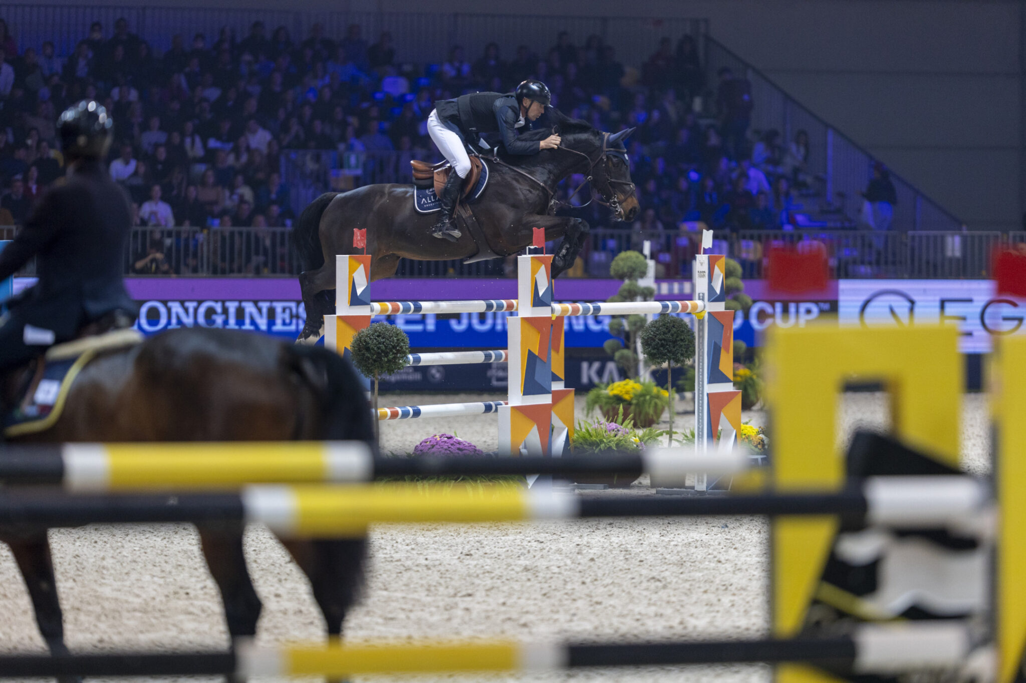 Peder Fredricson: a lifelong journey with horses