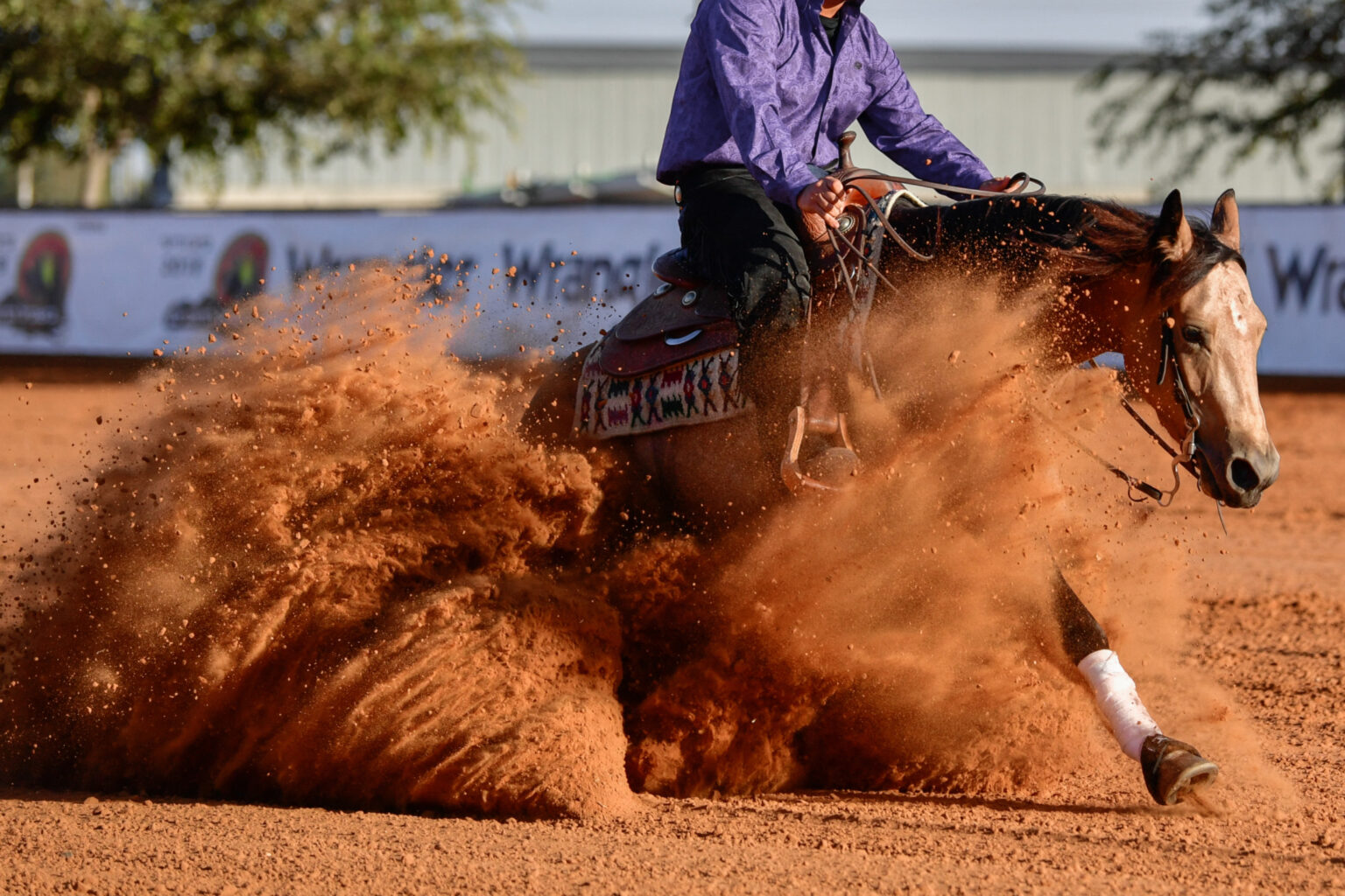 Reining, molto più che uno sport
