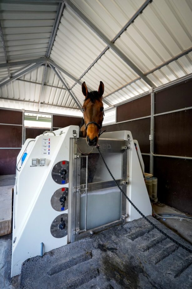 The Equine Spa: A Key to Recovery
