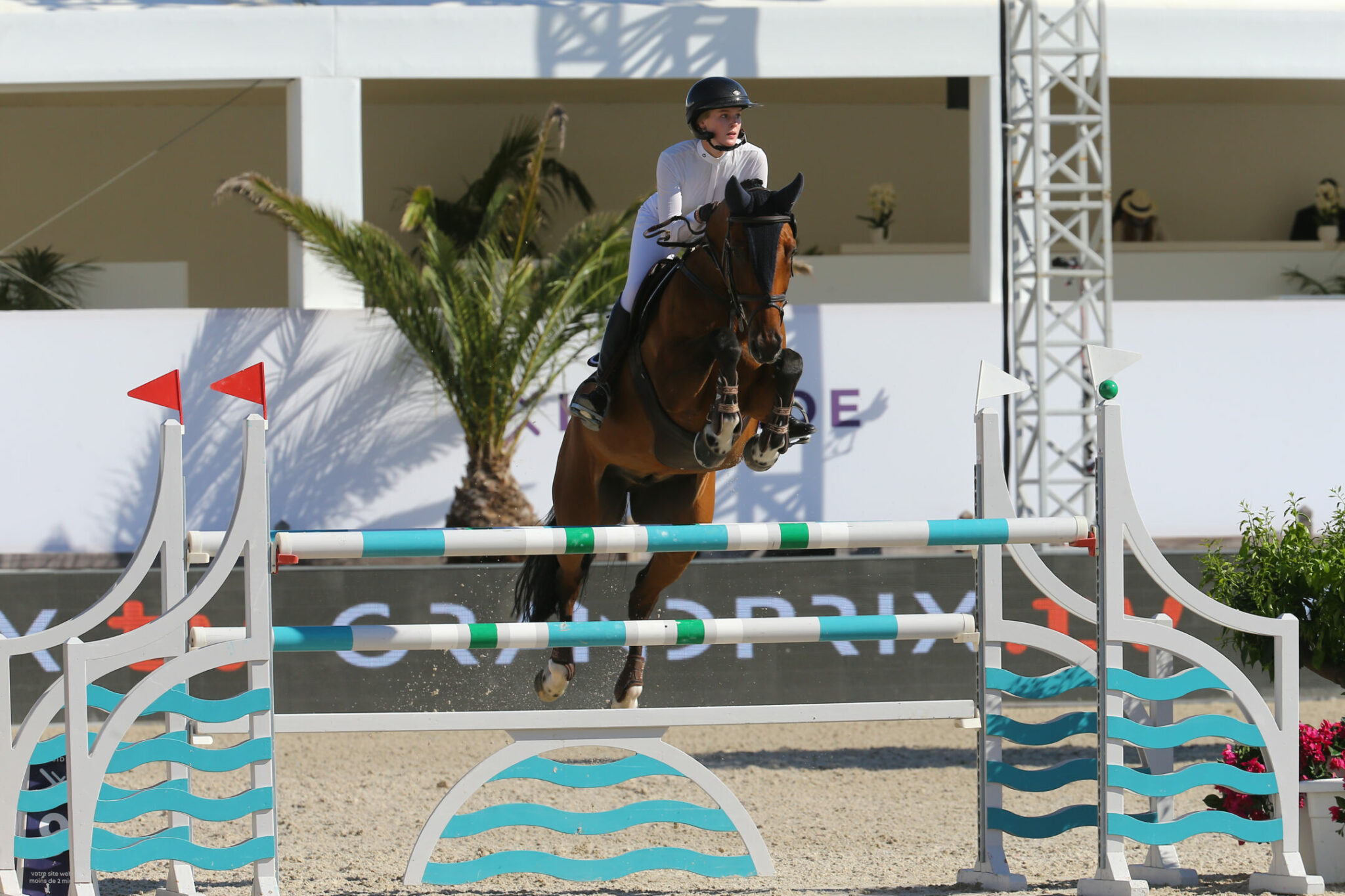 Jumping | HorseShowJumping