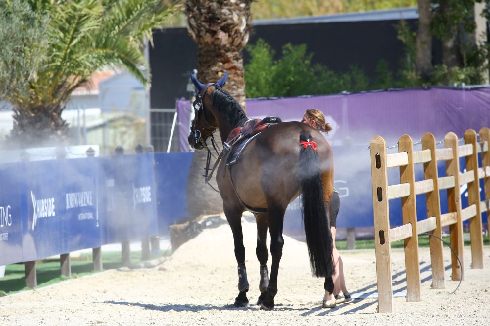 Dal pony al cavallo: come cambia l’assetto